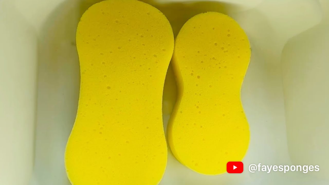 ASMR dry vs damp ripping expanding car sponges. Sponge rip 🧽 # ...