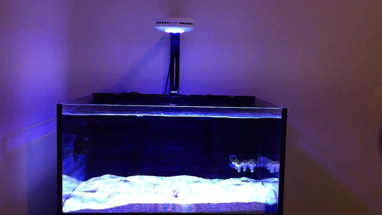 Innovative Marine Fusion Lagoon 25 Gallons - YouTube