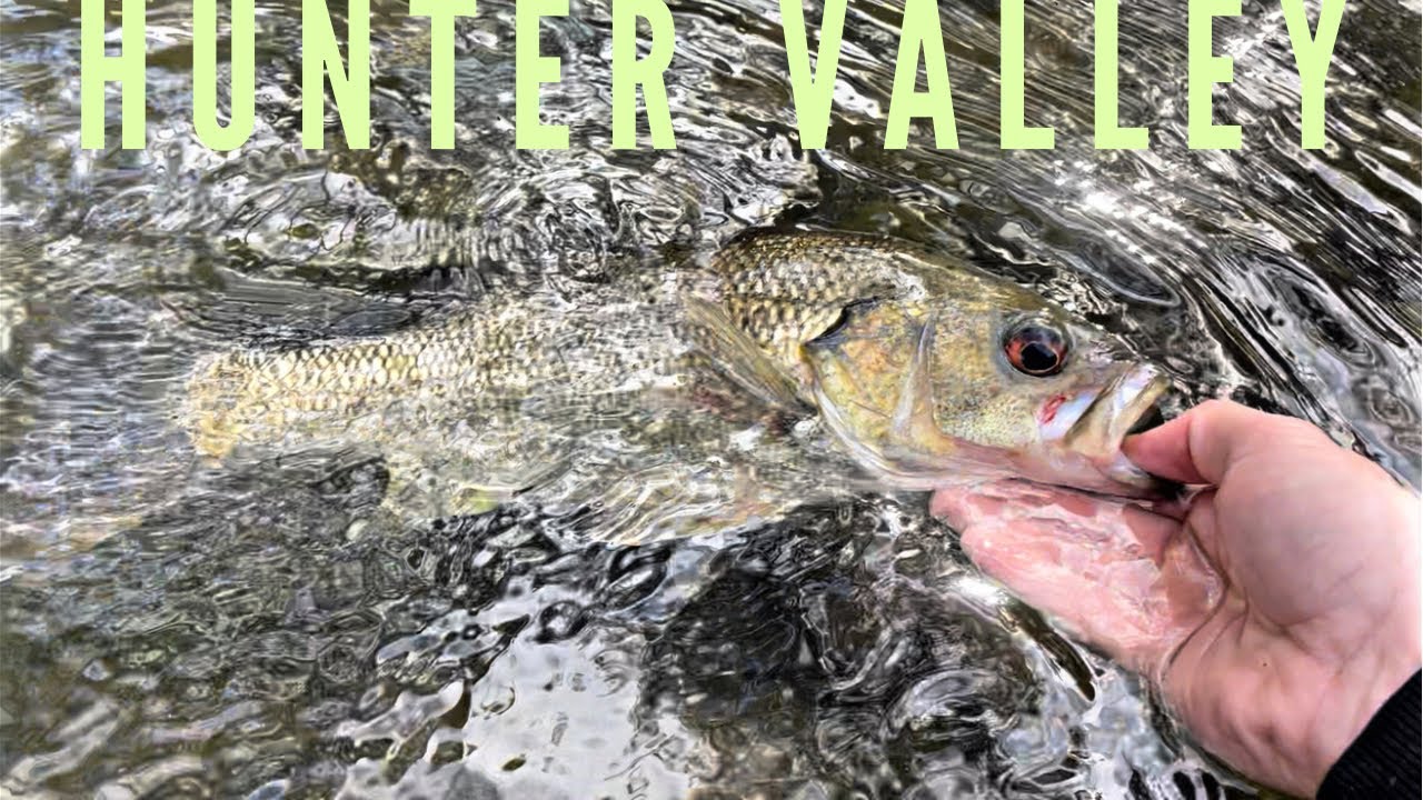 Aussie BASS Fishing in Hunter Valley creek! Jackall Derabreak - YouTube