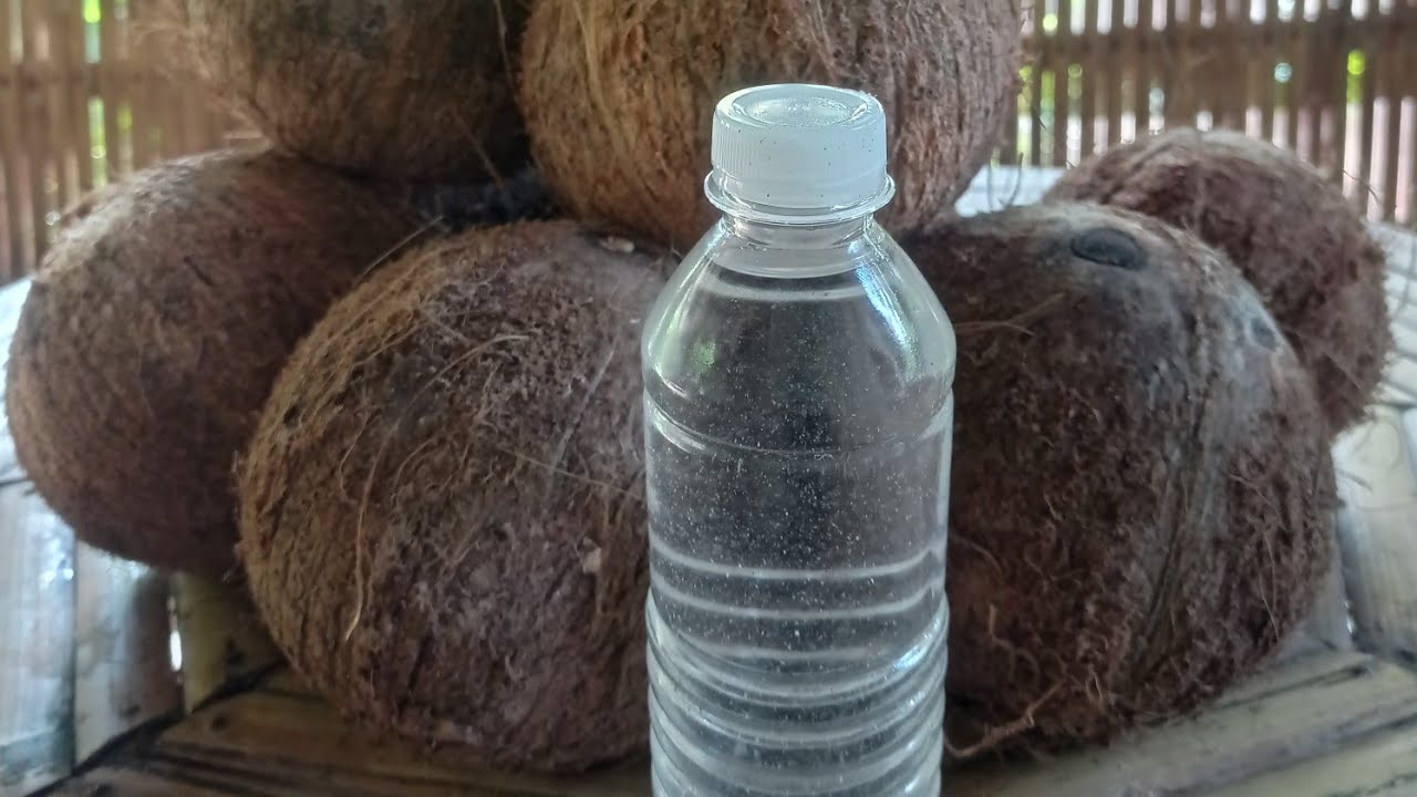Paano ginagawa ang VCO(Virgin Coconut Oil) Fermentation Process? - YouTube