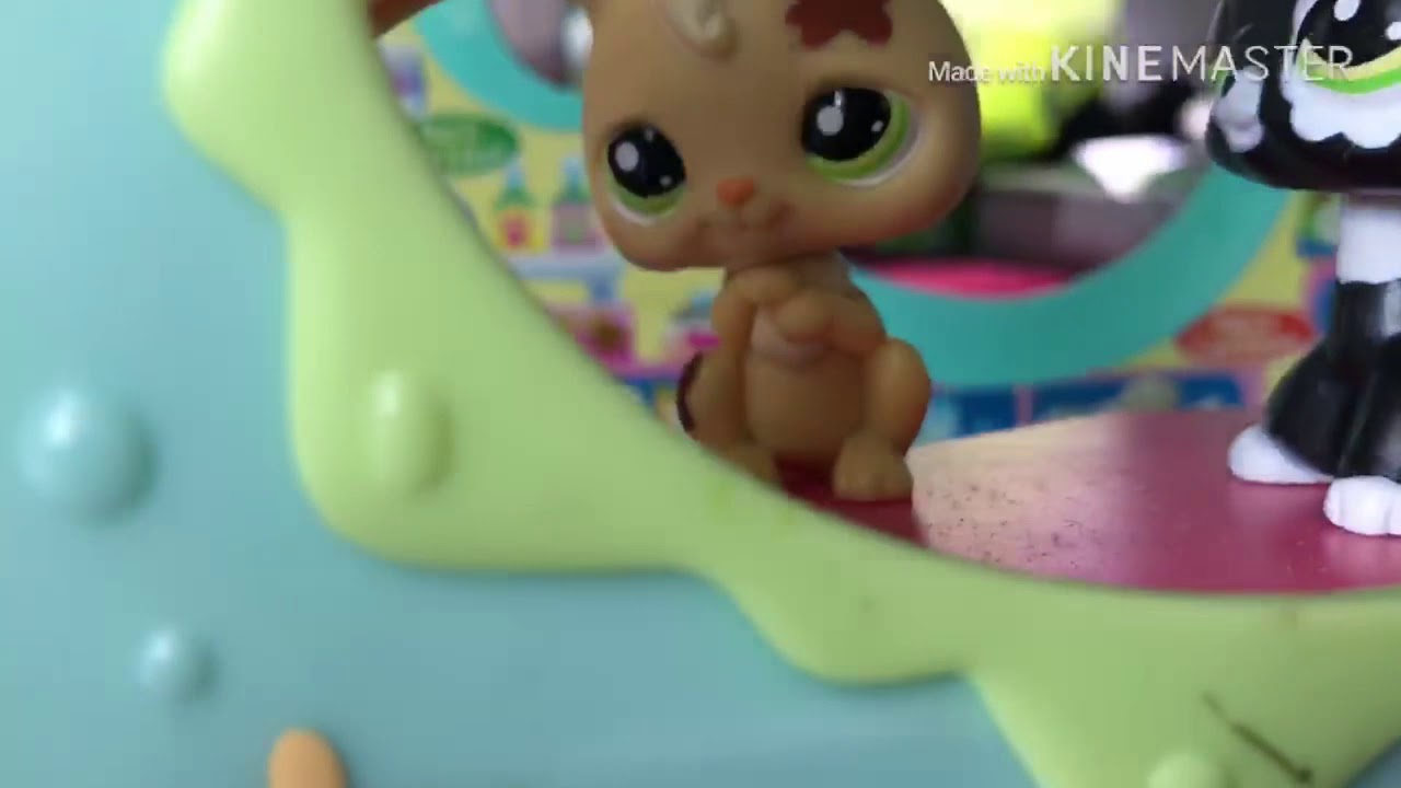 Lps hospital ( crazy lps) - YouTube