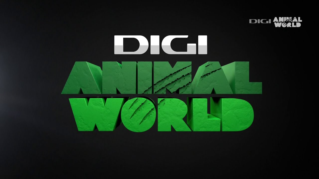 DIGI Animal World arculat - 2021. november - YouTube