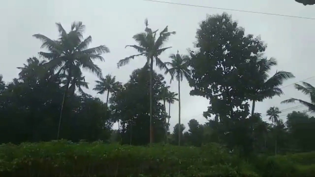 Koothattukulam Live - YouTube