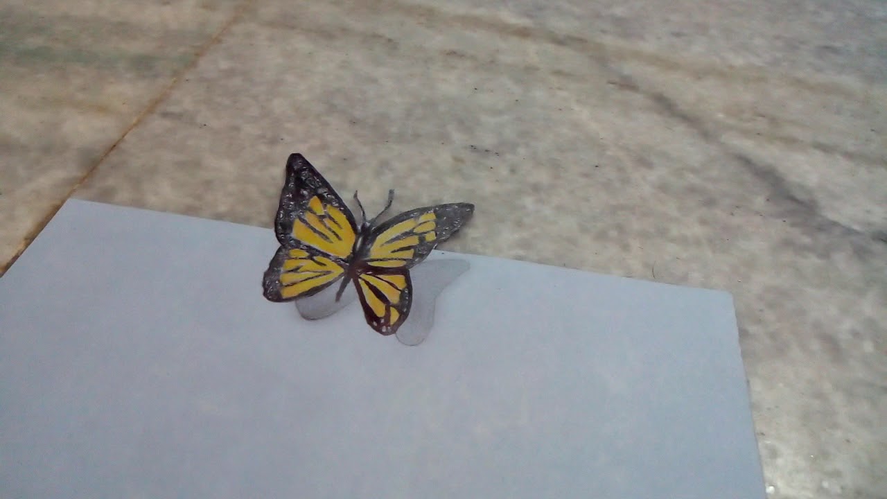 Butterfly 3D Drawing - YouTube