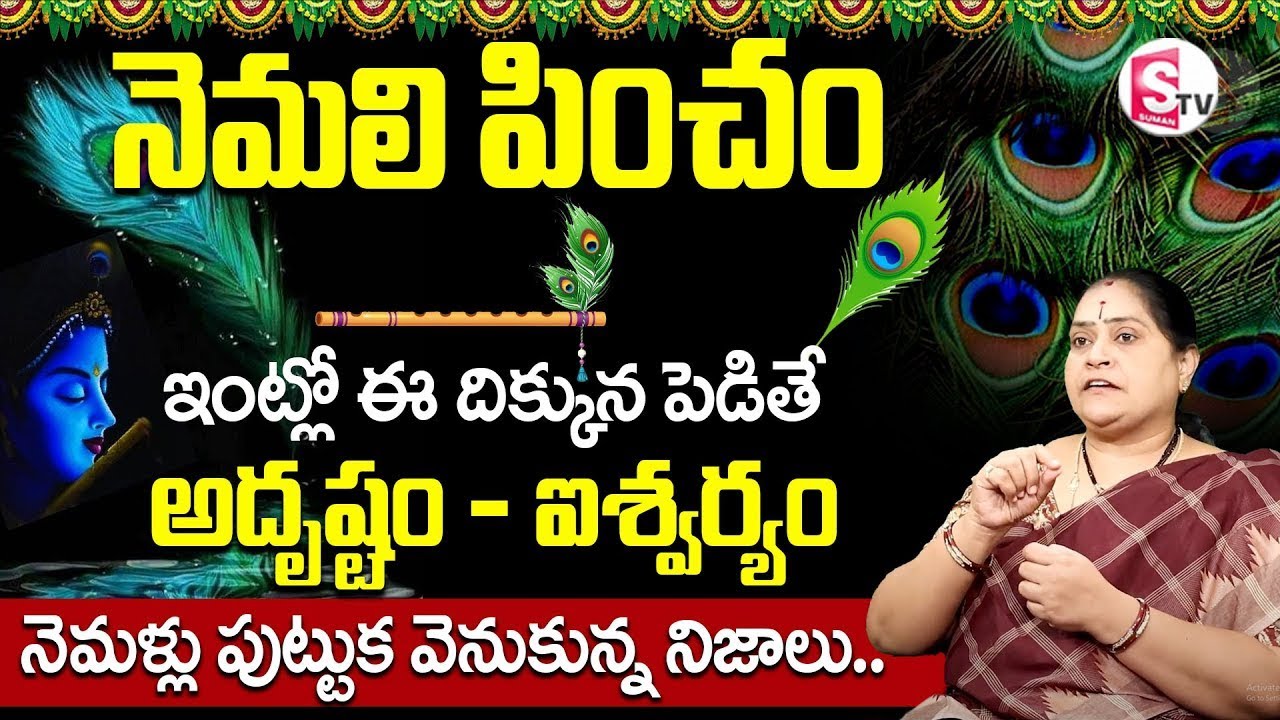 Nemali Pincham Vastu | Peacock Feather Benefits | నెమలి పించం | Nemali ...