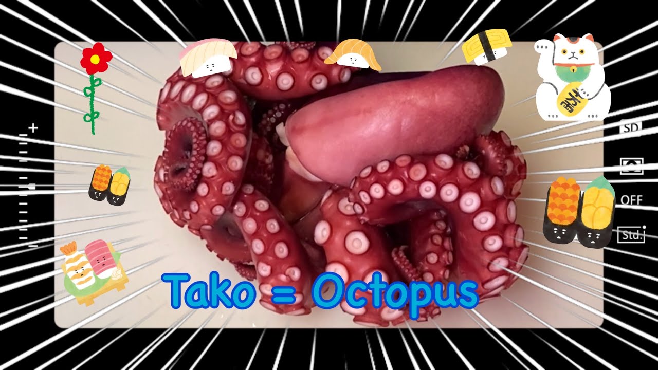 Tako octopus - YouTube