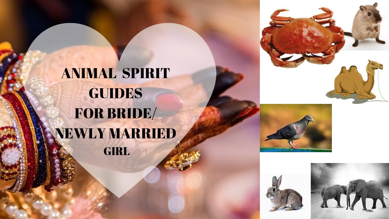 Animal spirit guides for bride/Animal spirit guide for newly married ...