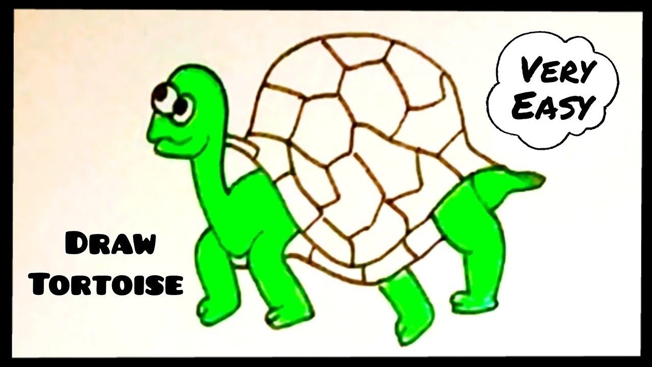 How to draw a Tortoise step by step | Draw turtle - YouTube