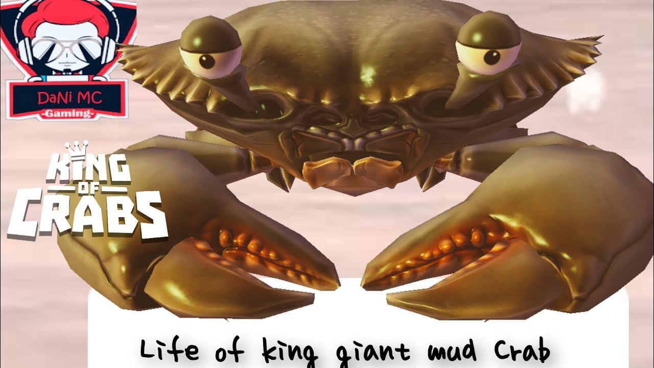 LIFE OF A KING GIANT MUD CRAB 🦀 - King of Crabs DaNi MC Gaming - YouTube