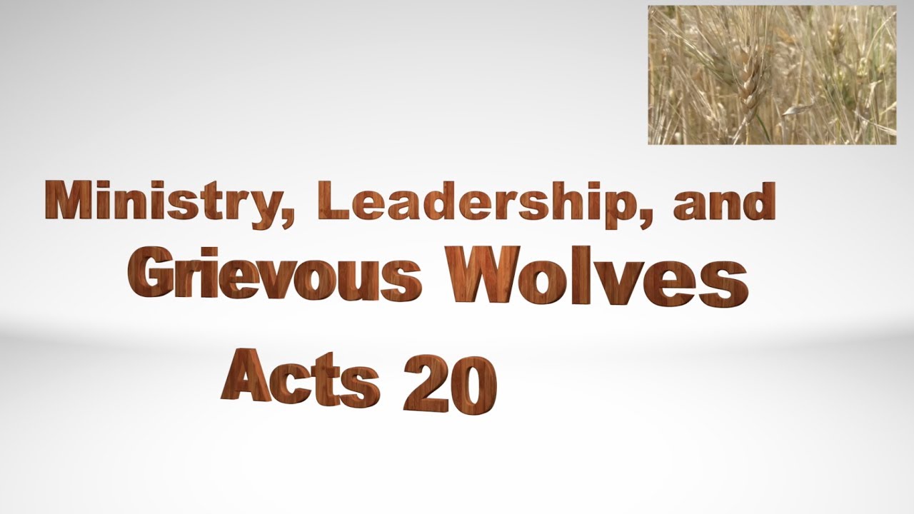 Ministry, Leadership and Grievous Wolves - Acts 20 - Pastor Joe Focht ...