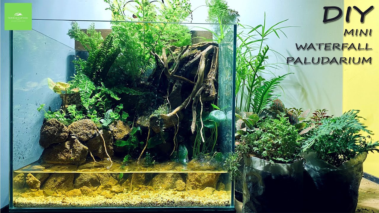 DIY Mini Waterfall Paludarium | 2 Step Waterfall system | Terrascaping ...