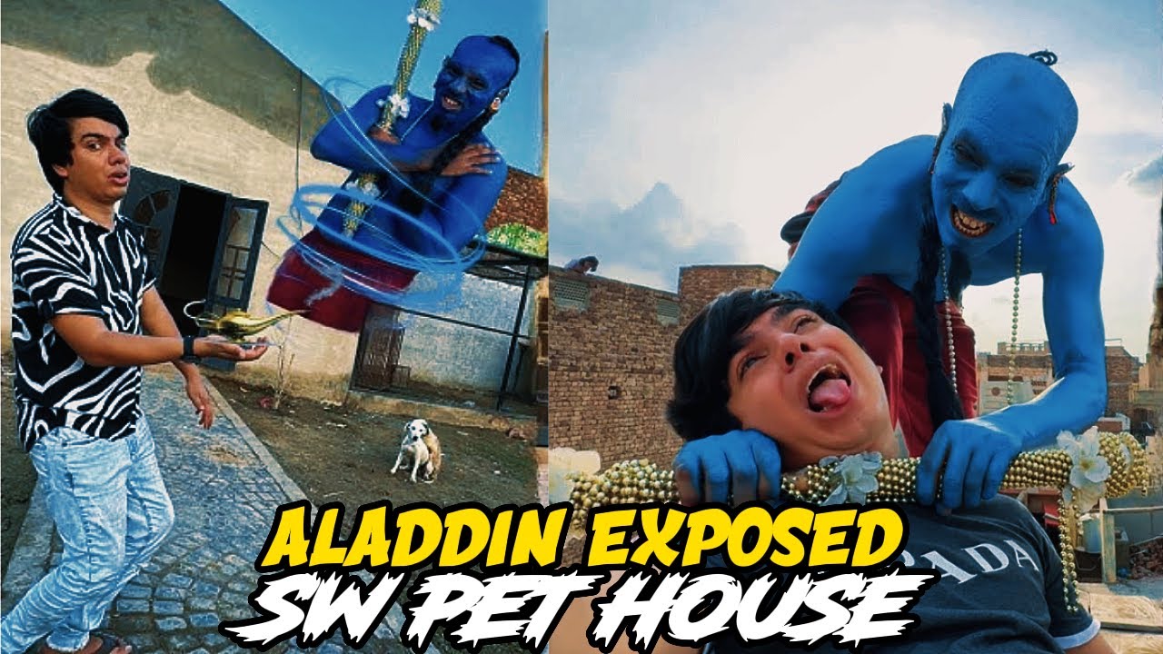 SW Pet House Aladdin Exposed | SW Pet House Aladdin Full Detail Video ...