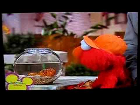 Elmo finding a fish sitter for dorothy - YouTube
