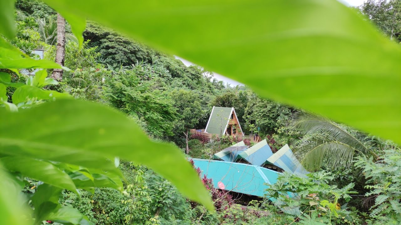 Sulit na sulit Ang bakasyon Dito Zen Tierras Farm Dingalan,Aurora Tara ...
