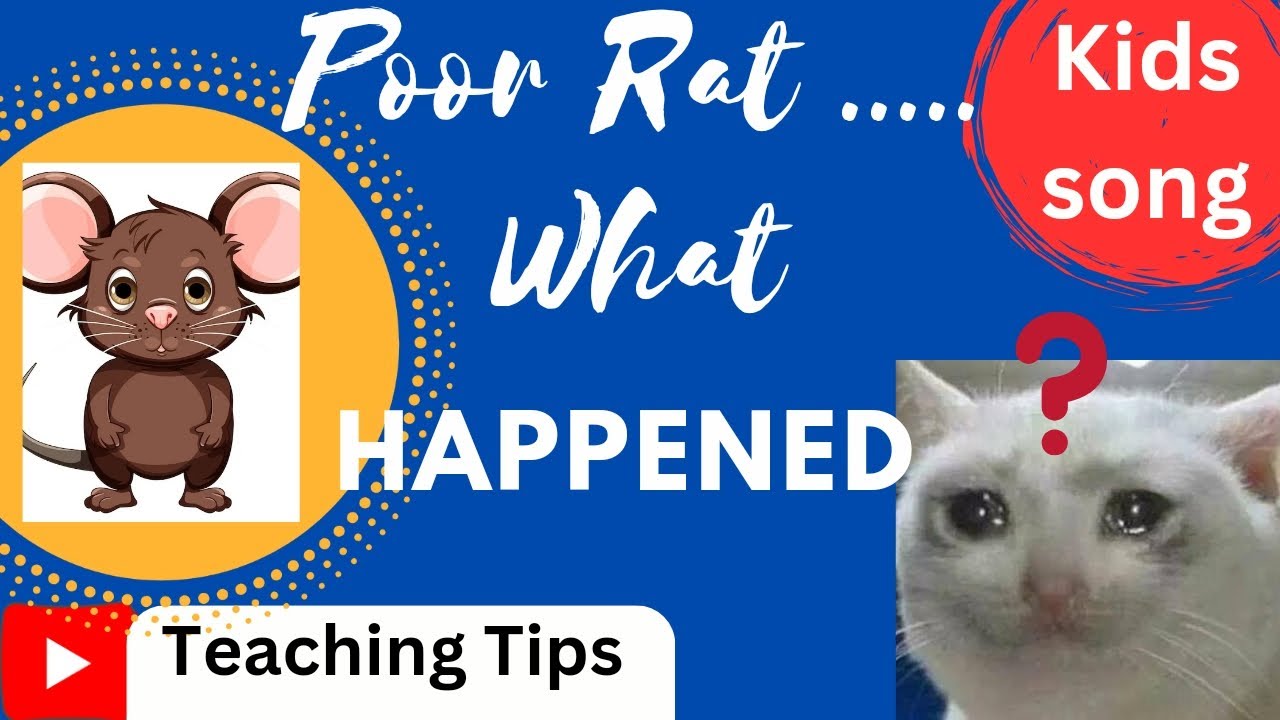 Cat Chasing A Rat 🐭|Kids Song😻|#teaching #teachingtips #kidsvideos # ...