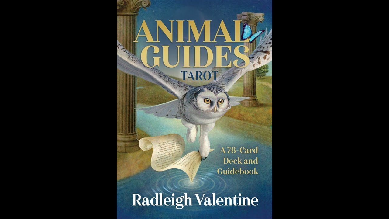 Animal Guides Tarot: A 78-Card Deck and Guidebook - YouTube