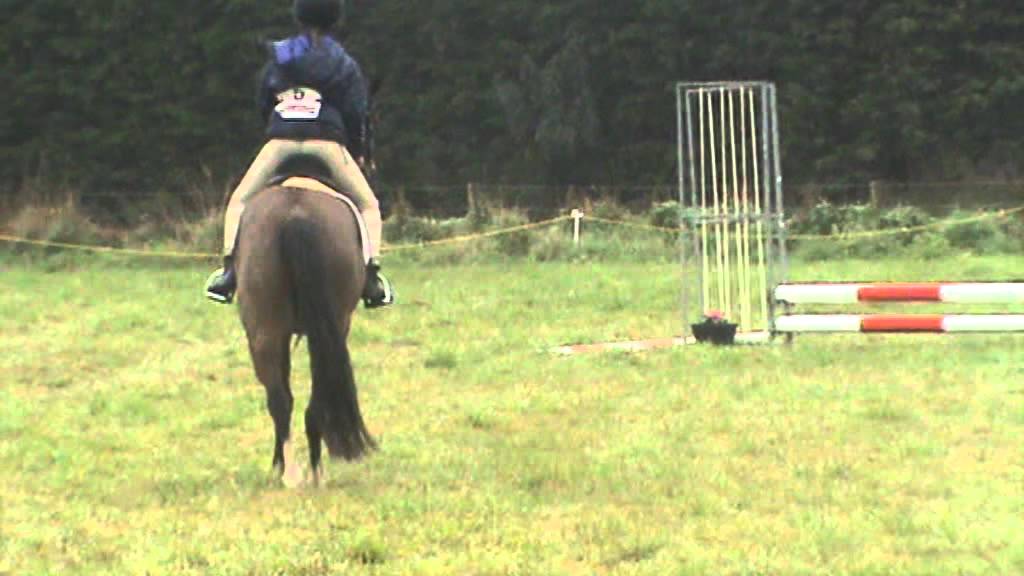45cm Show jumping - YouTube