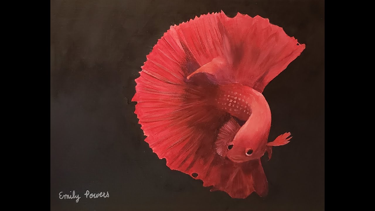 Red Betta Fish Acrylic Painting Tutorial Step-By-Step - YouTube