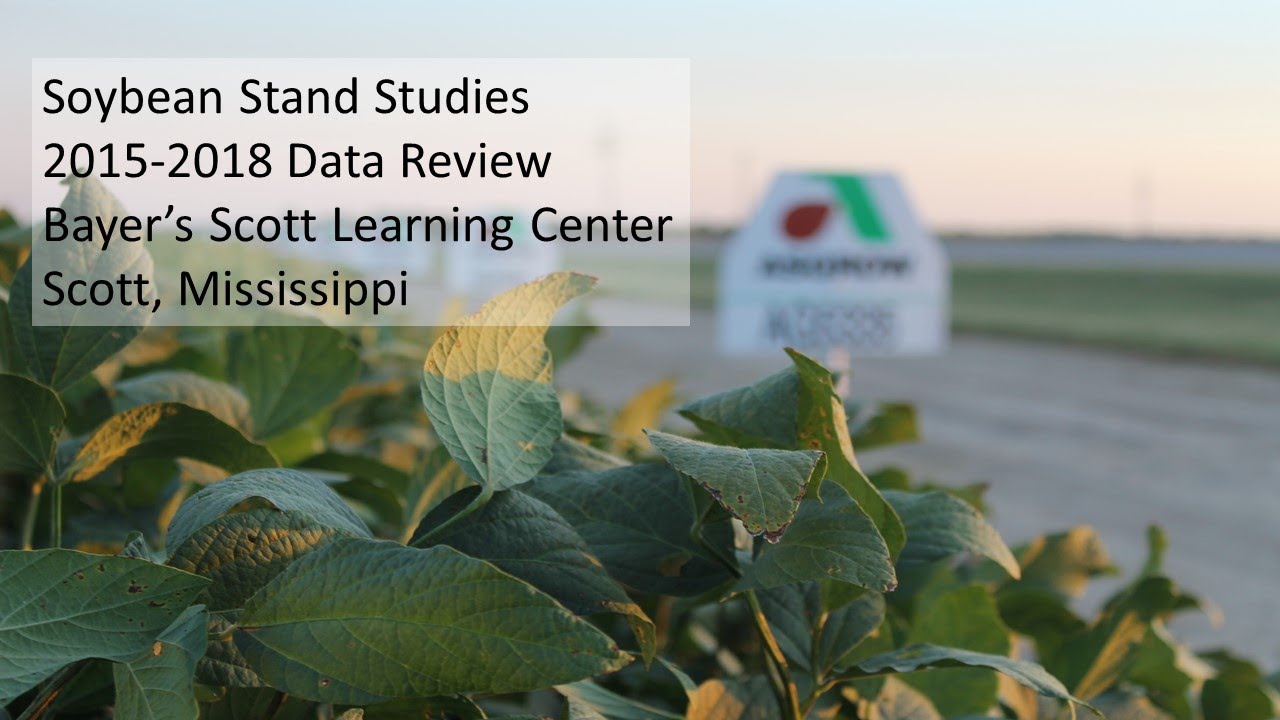 Episode III Soybean Stands and Planting Errors - Part II - YouTube