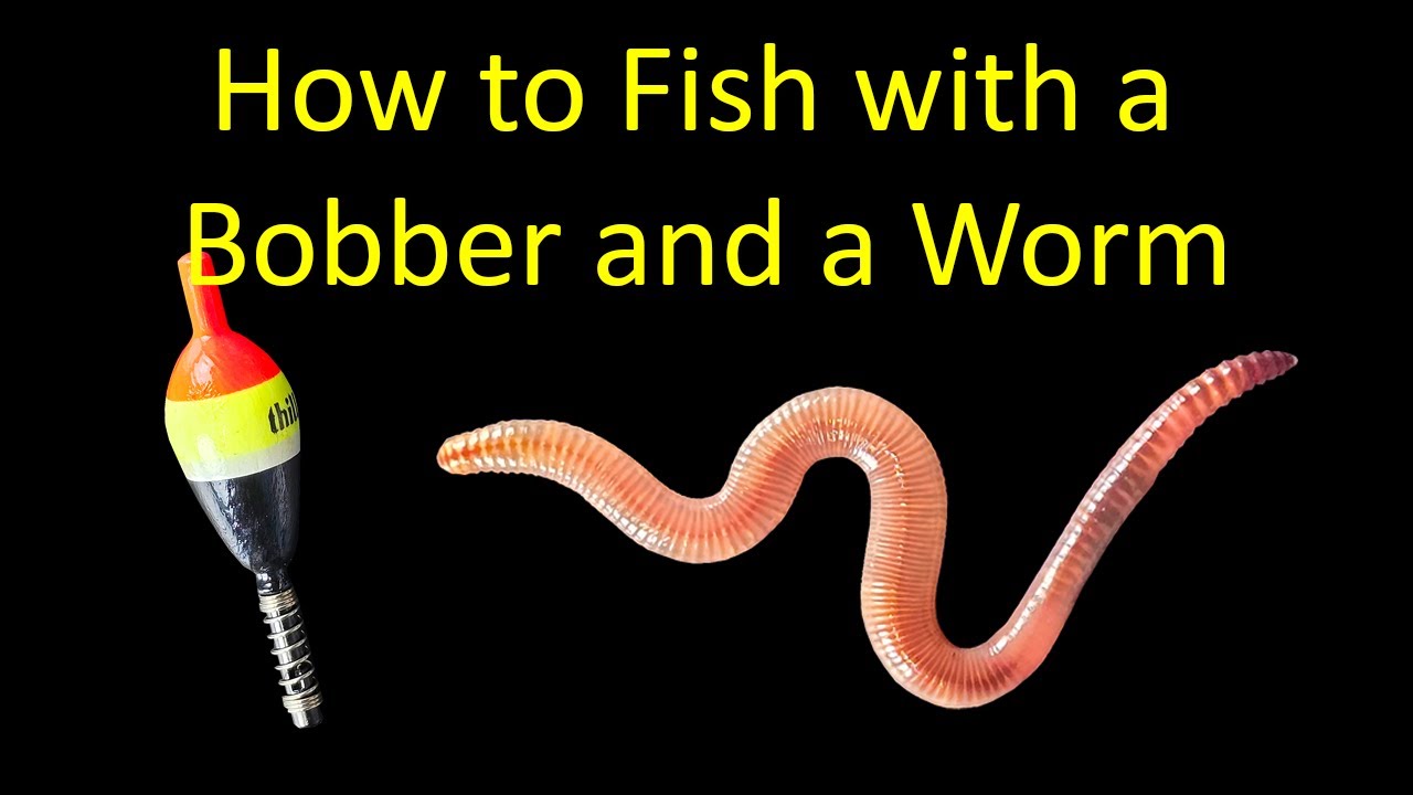 How to Catch a Fish with a Bobber and Worm (Bobber Fishing) - YouTube