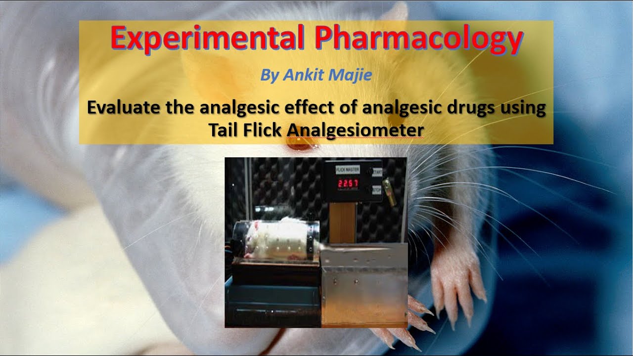 Study of analgesic activity with the help of tail flick apparatus || Ex ...