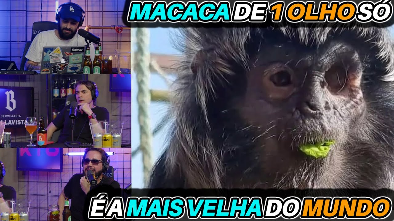 MACACA de 1 OLHO SÓ é a mais VELHA do MUNDO - YouTube