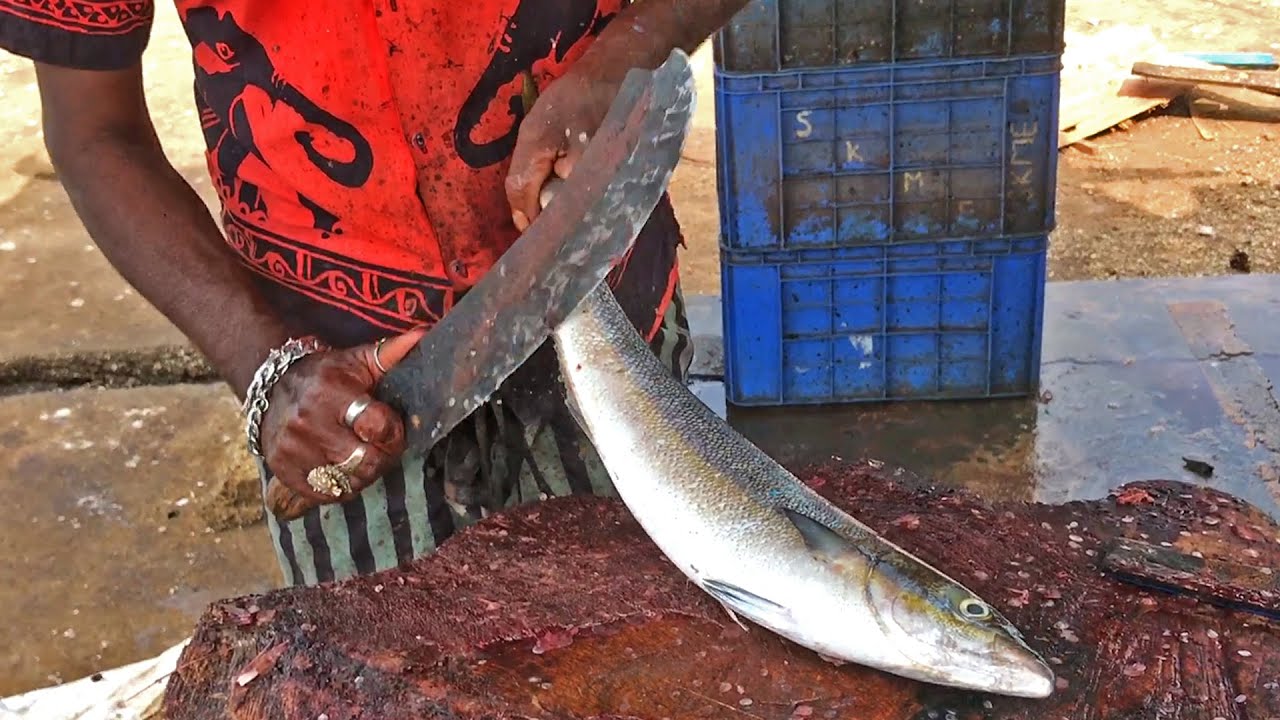 Fresh Rainbow Runner Fish Cutting Fast | Amazing Fish Cutting Skills ...