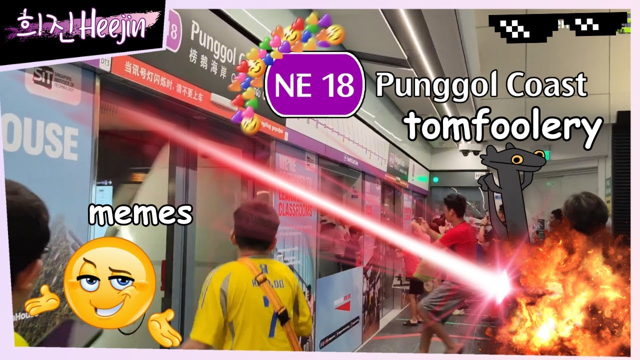 punggol coast mrt opening tomfoolery memes | 희진Heejin - YouTube