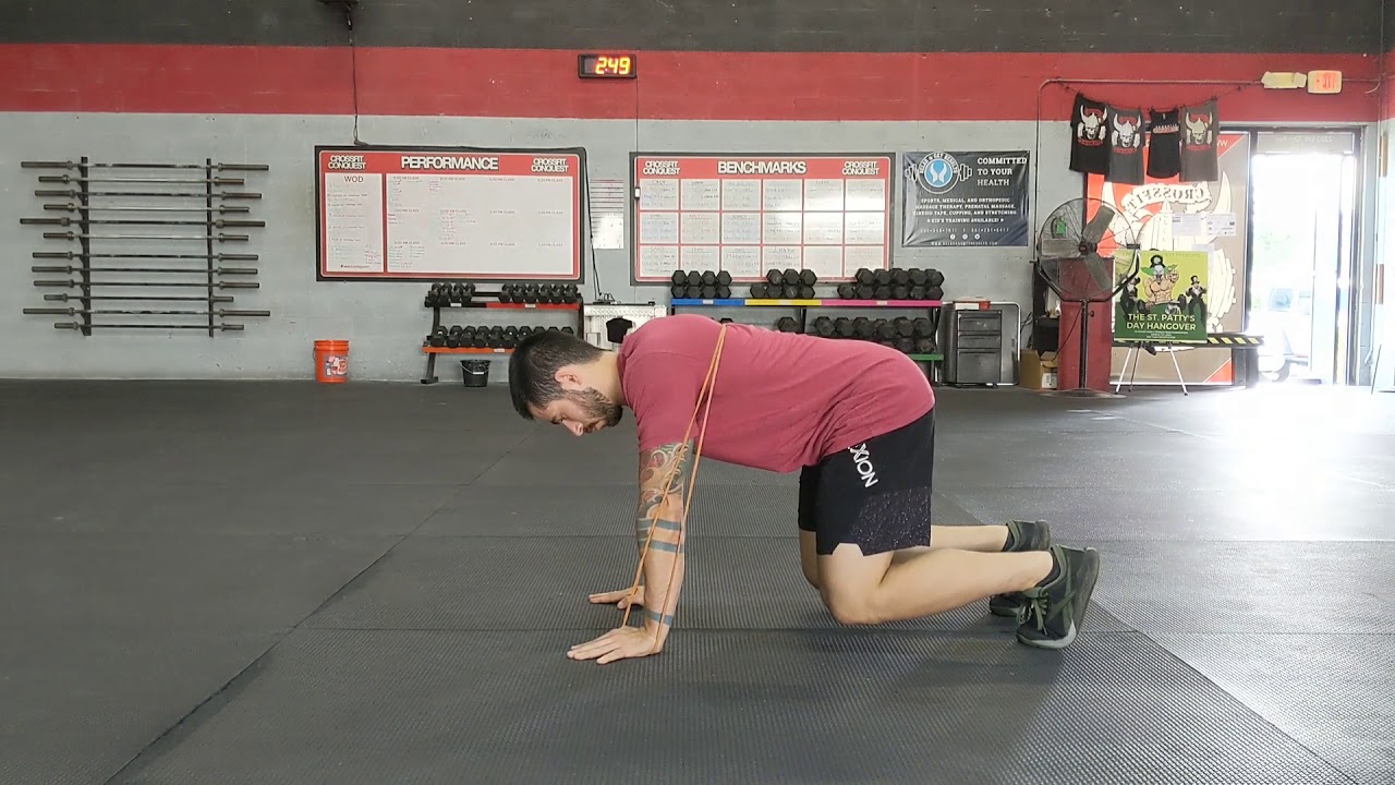Banded Quadruped Scap Push-Ups - YouTube