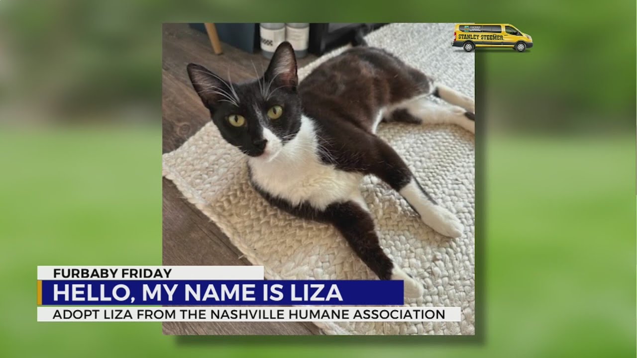 Fur Baby Friday: Meet Liza! - YouTube
