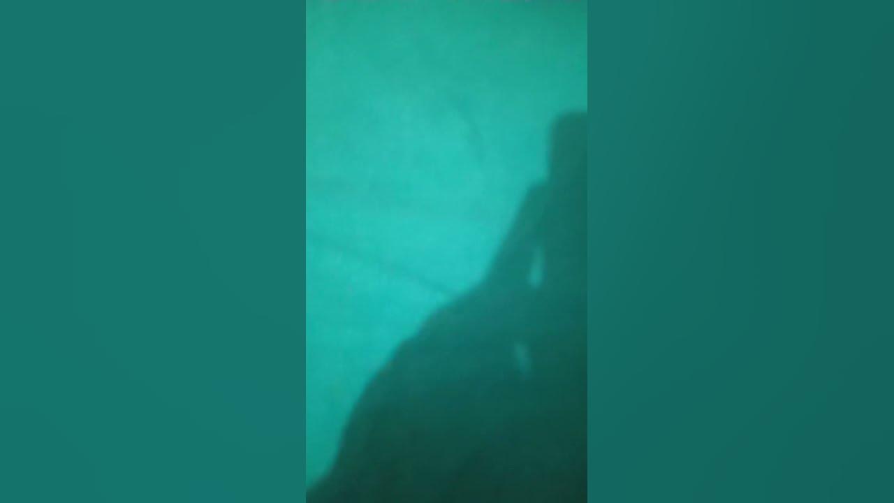 سورة الفاتحة Youtube