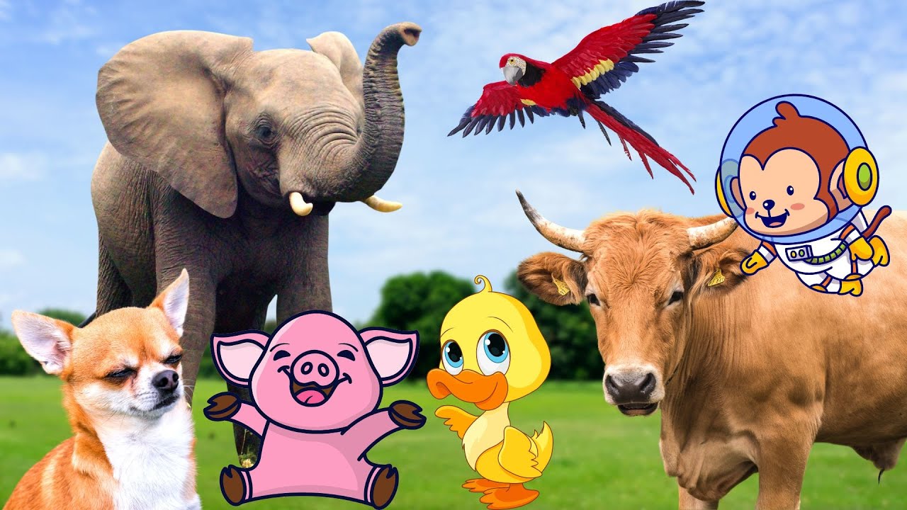 Cute little animals - Elephant, dog, cow, duck, pig - Animal sounds ...