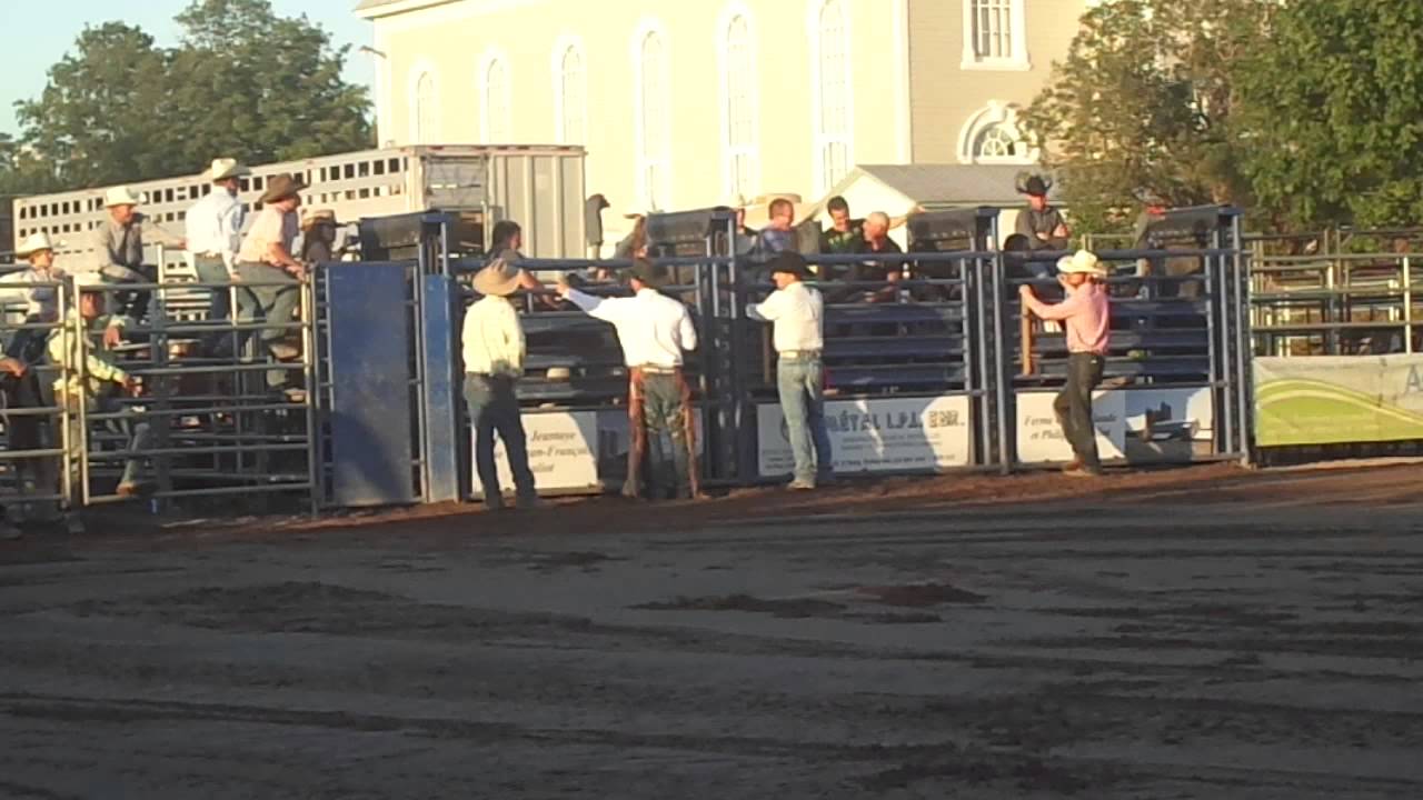 course d'autruche la Durantaye 2013 - YouTube