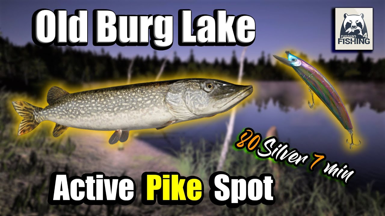 🎣Russian Fishing 4 RF4 - Old Burg Lake Active Pike Spot #432 - YouTube