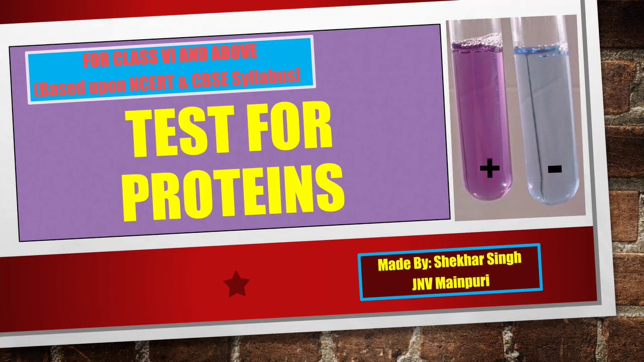 Test for Proteins - YouTube