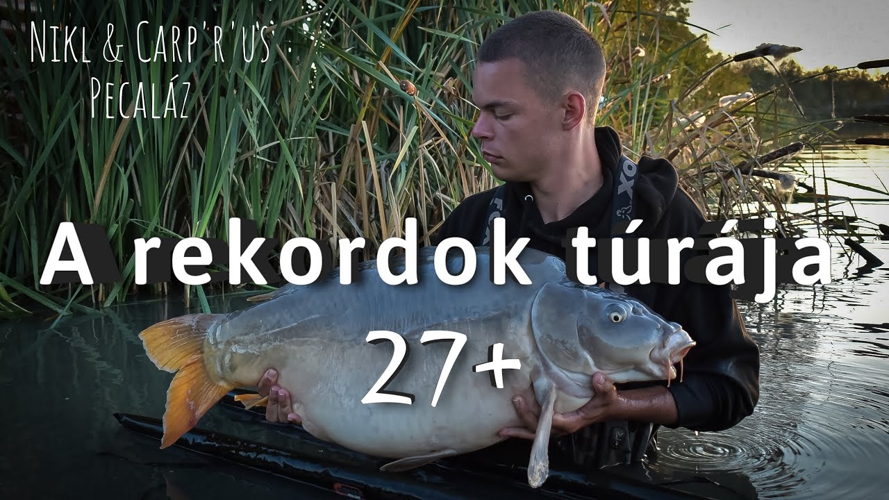 10 db 20 kg Feletti Hal | Rekordok Túrája a Tokaji Kovács tavon...!💥😱 ...