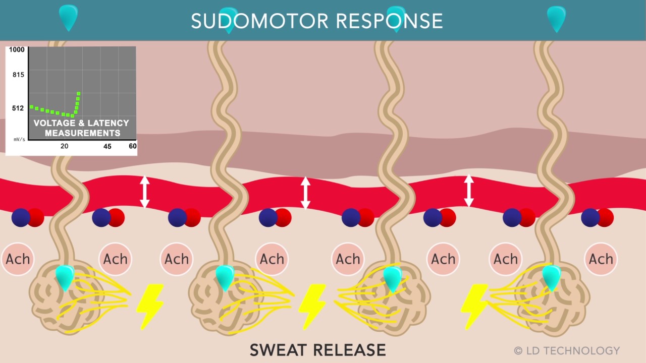 SweatC Technology - YouTube