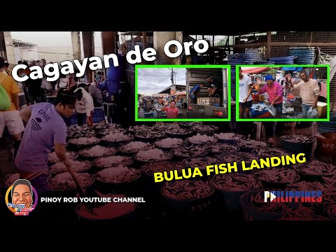 Bulua Fish Landing, Cagayan de Oro, Philippines - YouTube