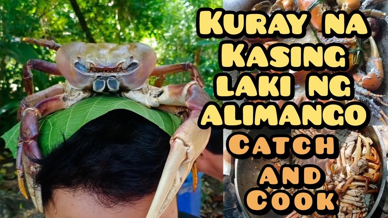 EP3 - Land crab - Kagang - na kasing laki ng Alimango Catch and Cook ...