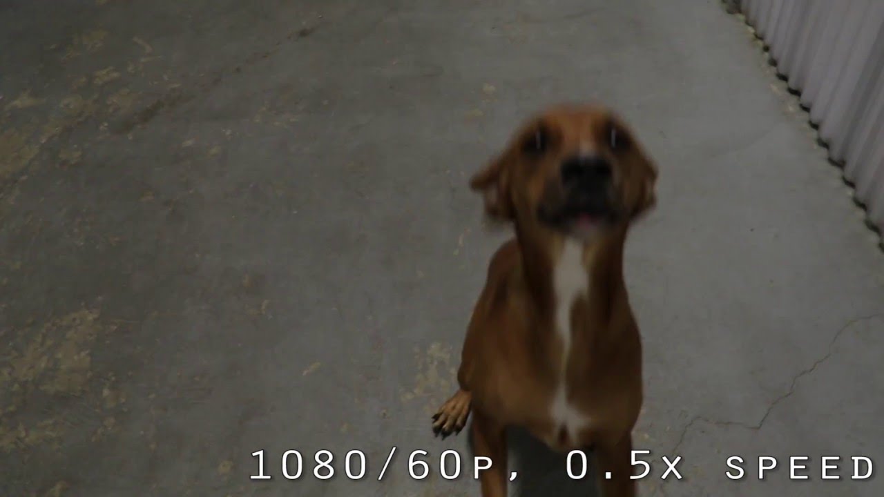Canon EOS 80D Video Samples, 1080/60p