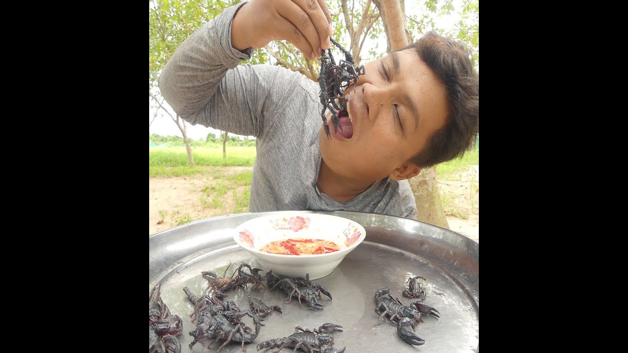 Amazing Raw Scorpions eating with chili salt - YouTube