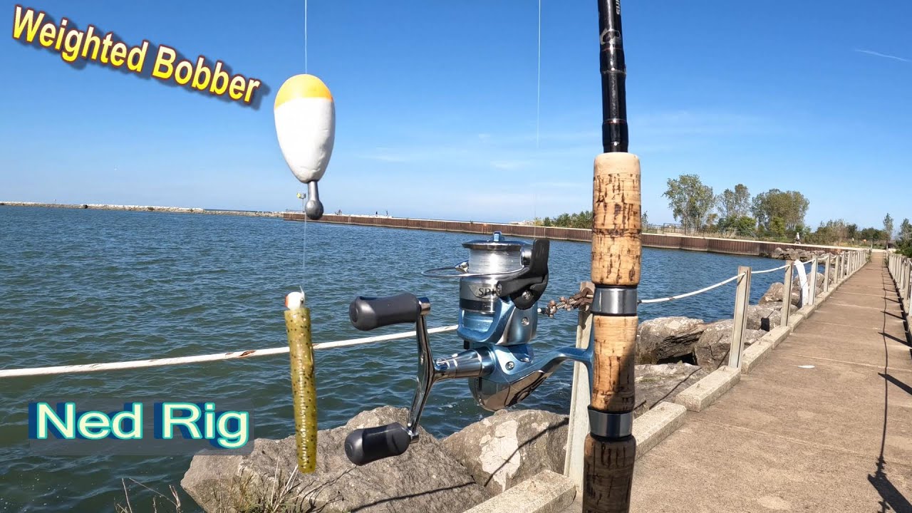 How To Catch Bass with Modified Neg Rig With 2" Weighted Bobber (Mile ...