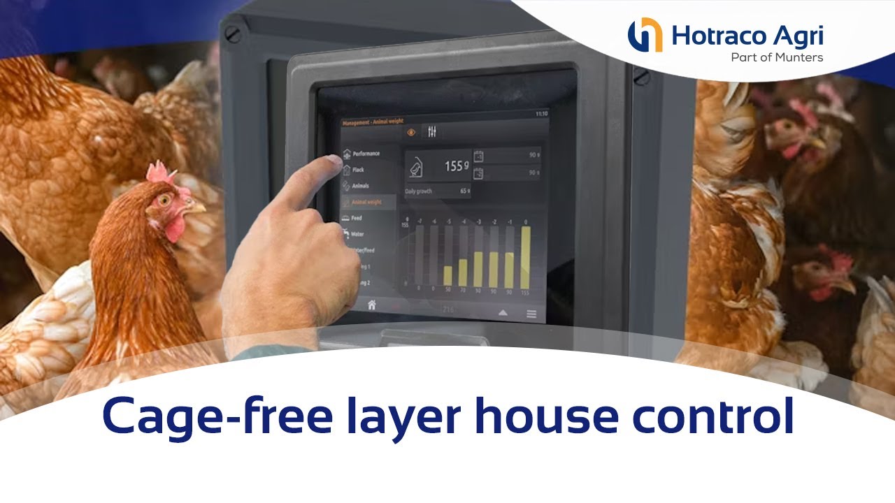 Cage-free layer house control - YouTube