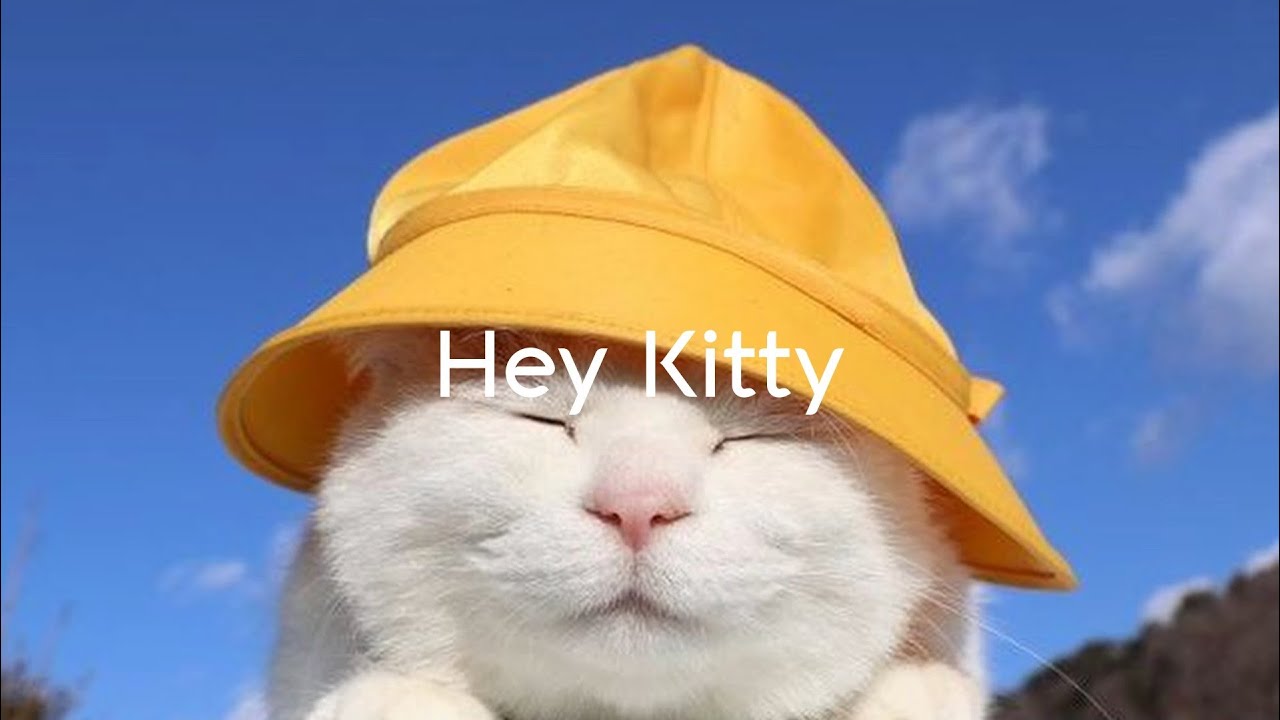 Hey Kitty | Chill and Good Vibes playlist - YouTube