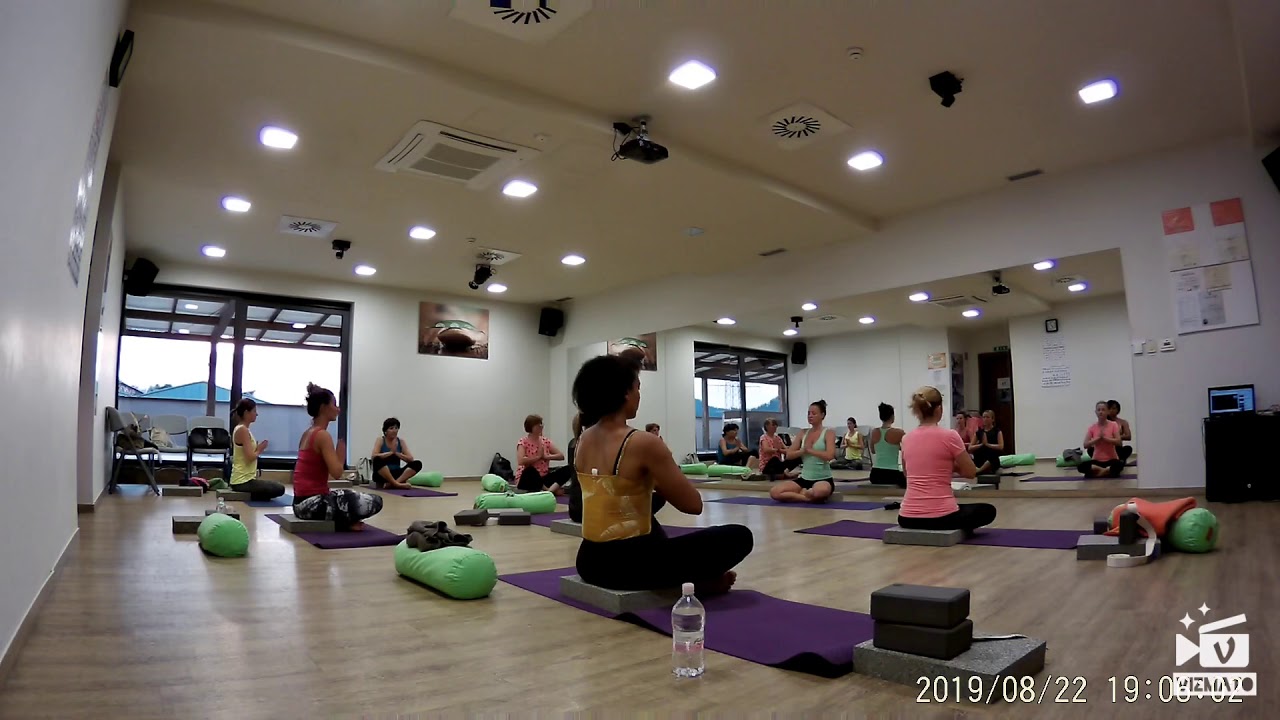 Vinyasa Flow Yoga Class - YouTube