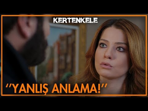 Yanlış anlaşılma... - Kertenkele