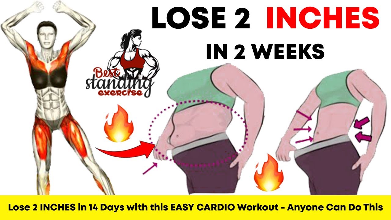Lose 2 INCHES in 14 Days with this EASY CARDIO Workout - Anyone Can Do ...