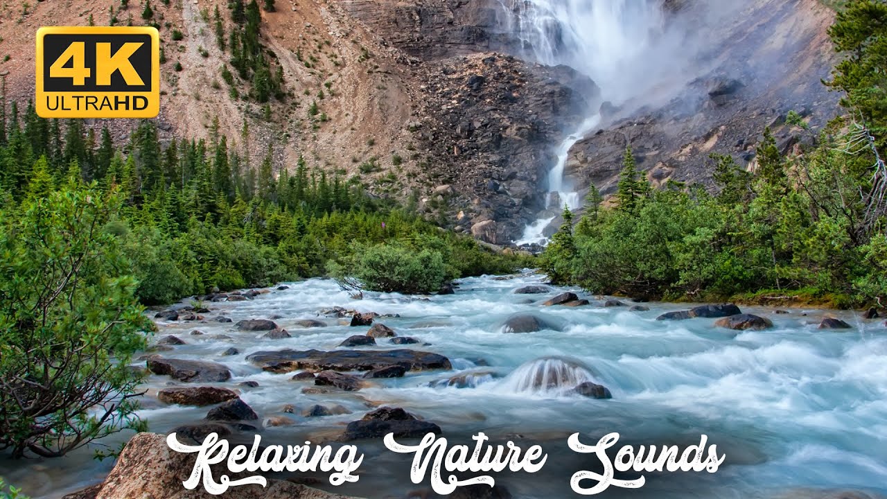 Beautiful Mountain River Flowing Sound. Forest River, Relaxing Nature ...