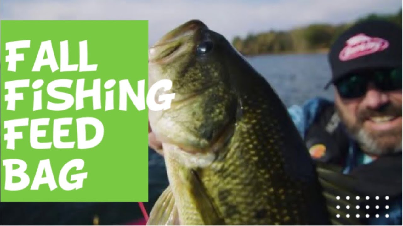 THE FALL FEED BAG - Dave Mercer's Facts of Fishing THE SHOW Season 13 ...