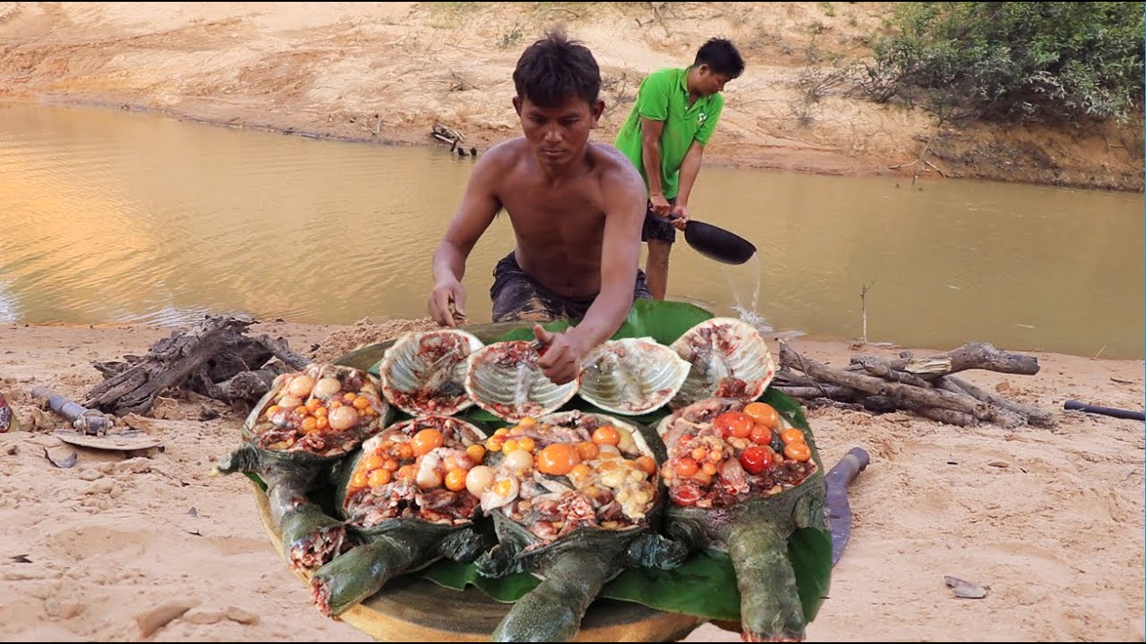 Catching And Cooking Turtle - YouTube